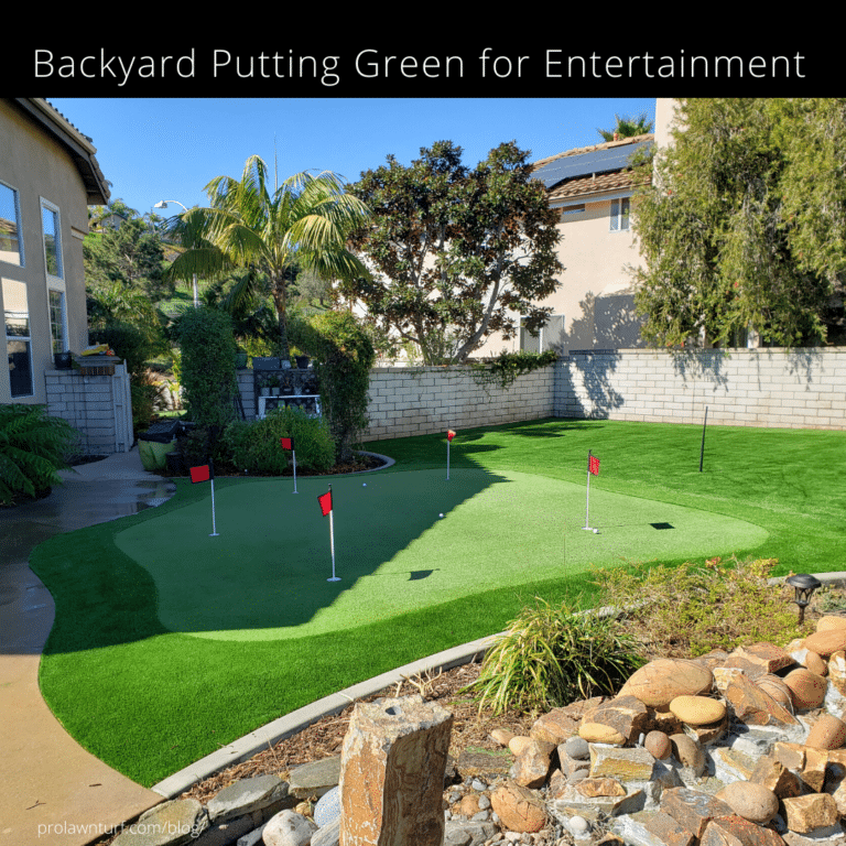 Backyard Putting Green for Entertainment